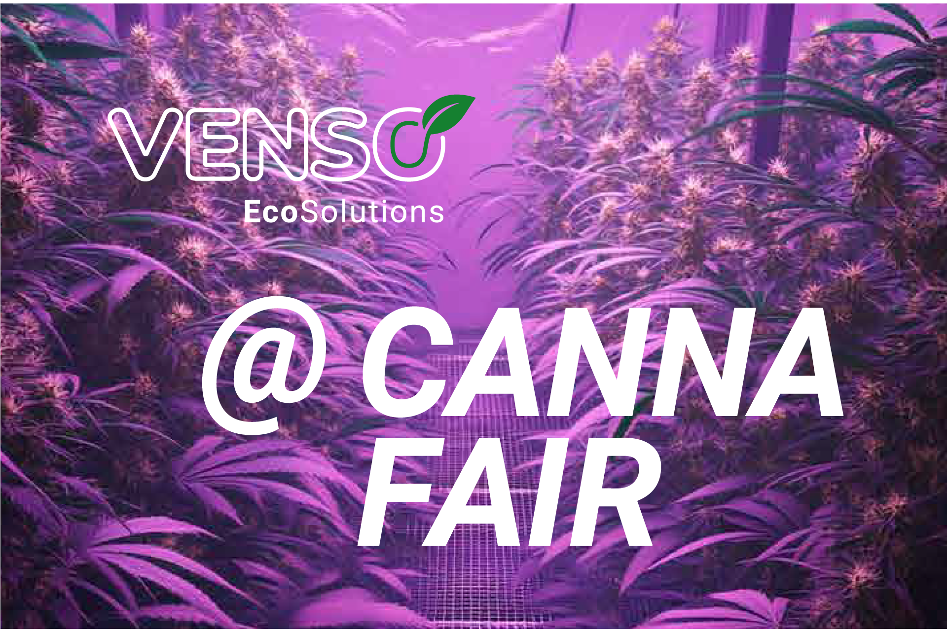 Venso auf der Cannafair – Venso Germany